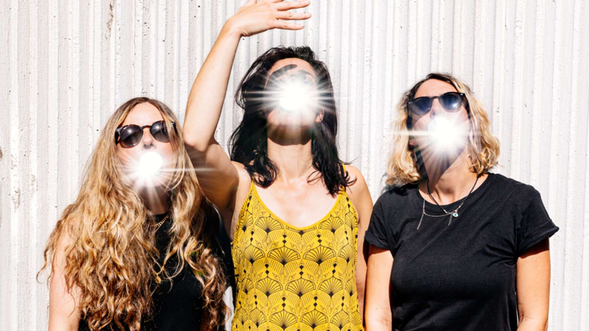 Nout | Le Petit faucheux