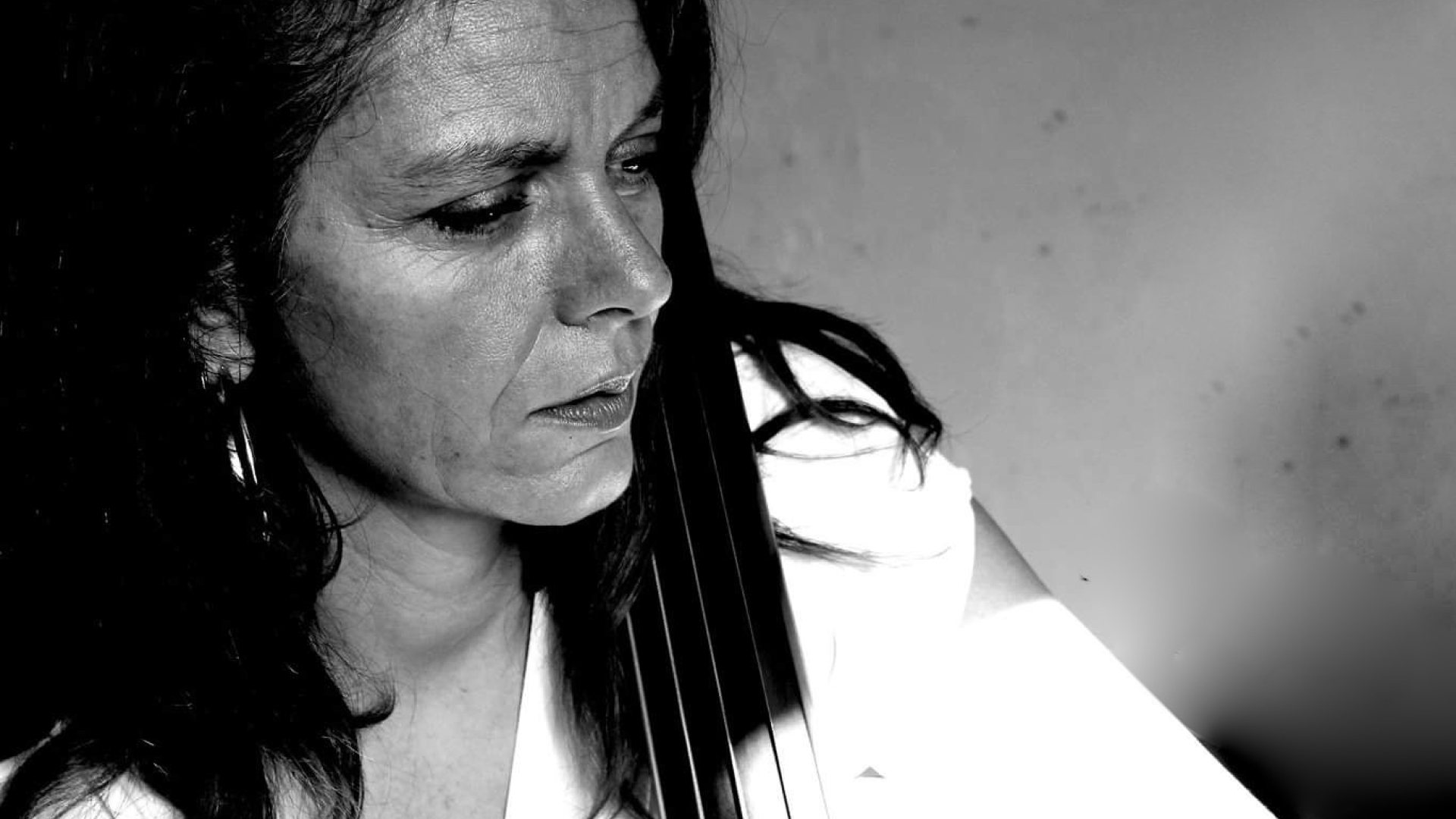 Julia Robin "Joni map" | Le Petit faucheux